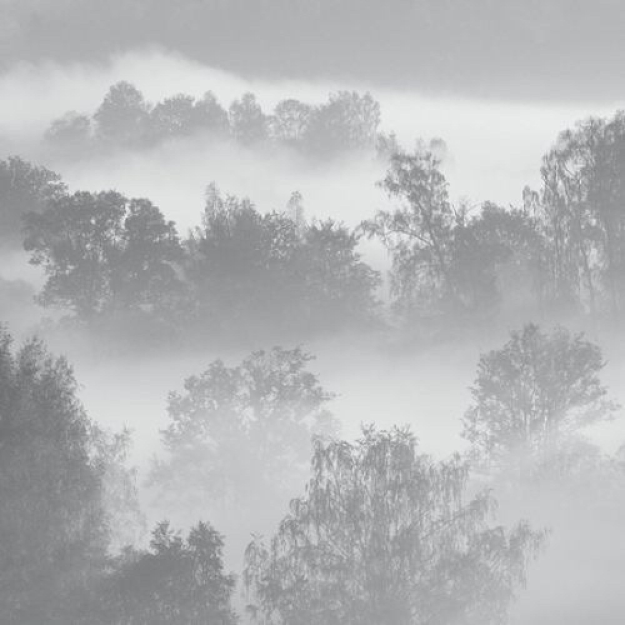 серый цвет.mp4