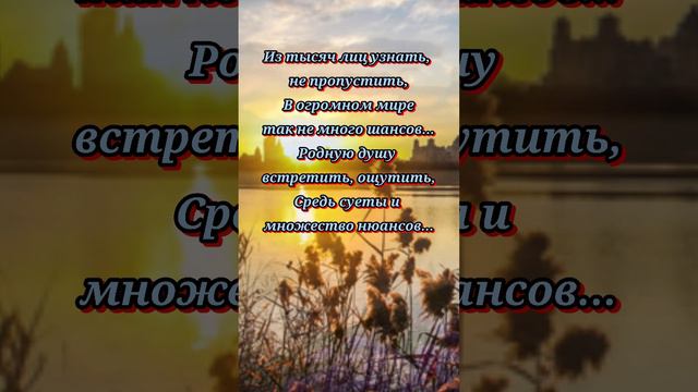 Случайных встреч не бывает❤#доброеутро#любовь# shorts