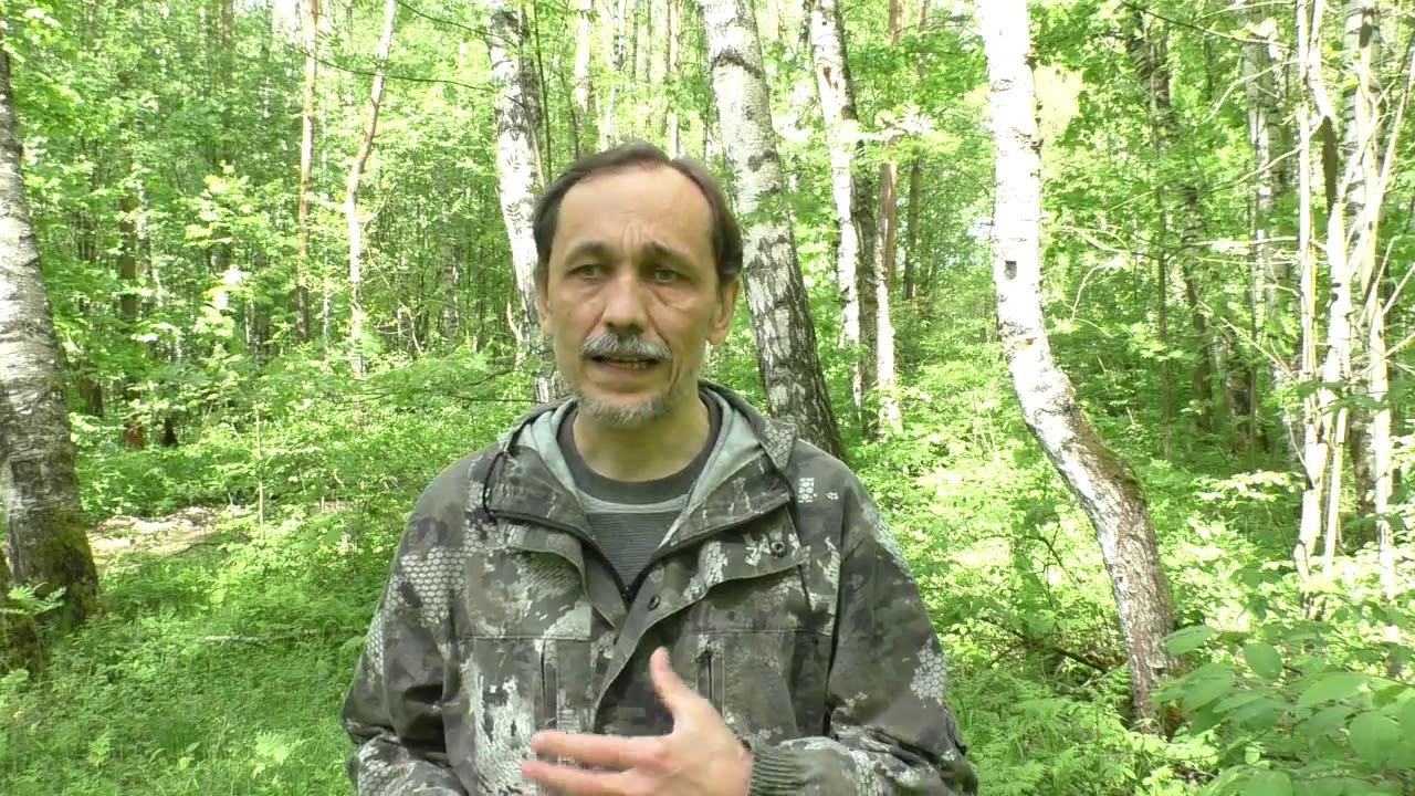 Отзыв Лебедева М. В. о системе, обучении и cвоем опыте