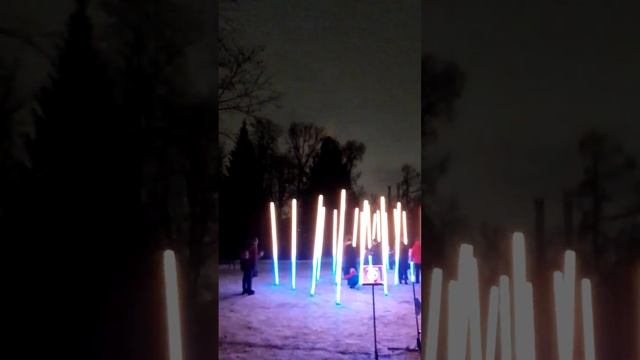 Свеяищиеся палочки в Ботаничеком саду меняют цвет. Фестиваль сад света 2021.mp4