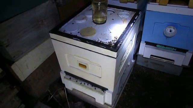 подкормка сиропом пчел в зимовнике в феврале - прошло 8 дней