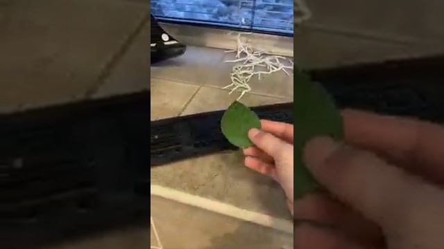 штрафов больше не будет!!!.