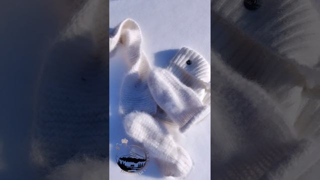 Самоеды - собаки для души