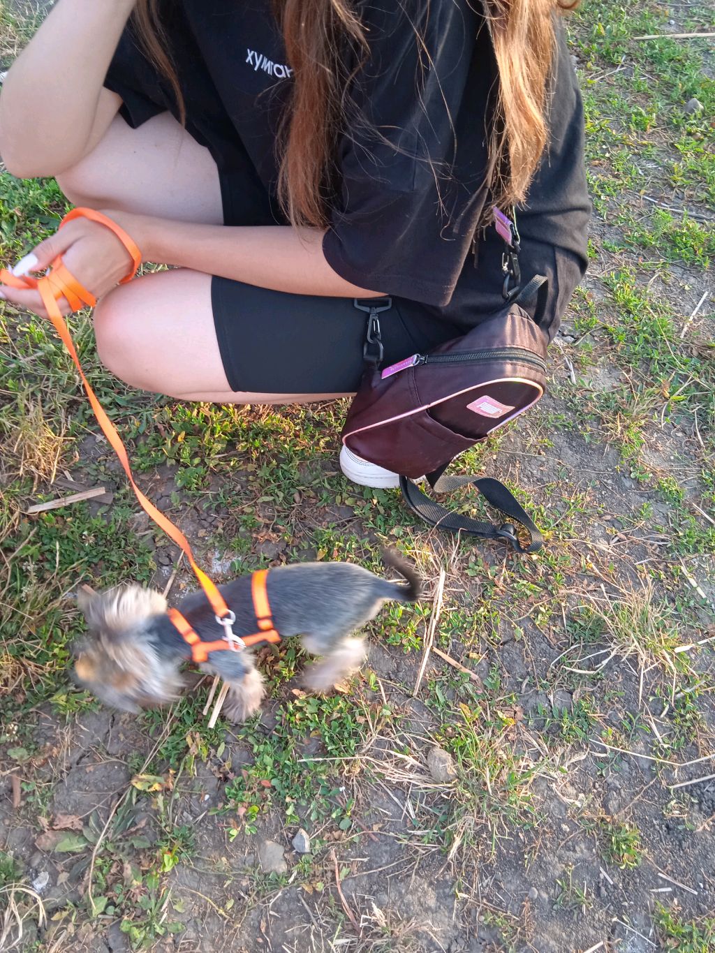 наша поездка к бабушке