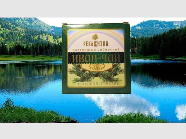 Пихтовый гребень - чай из Сибири