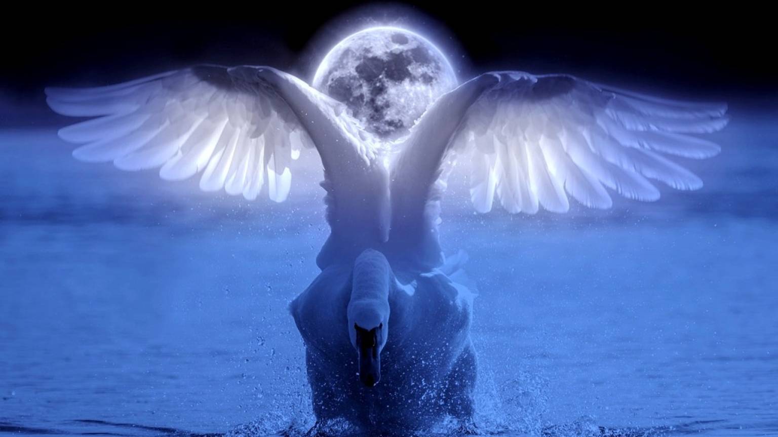 "А НАПОСЛЕДОК Я СКАЖУ".Стихи: Беллы Ахмадулиной. Музыка: Андрея Петрова. Исполняет — Елена Артёменко