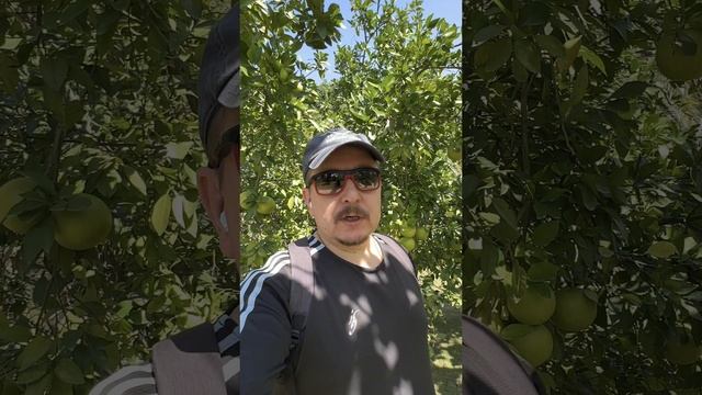 У меня День рождения.