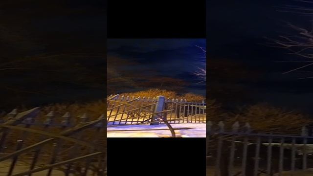 Новый год 2022 Питер , СПБ , 5 день )) )