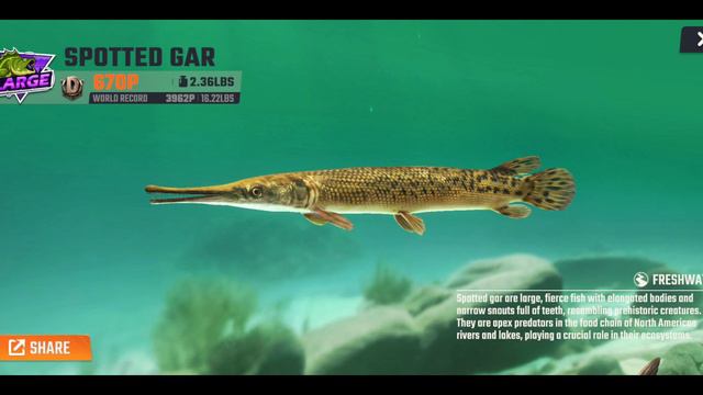 Fishing Master (от Ark Game Limited) - симулятор рыбалки для Android и iOS.