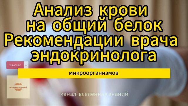 Анализ крови на общий белок. Рекомендации врача эндокринолога.