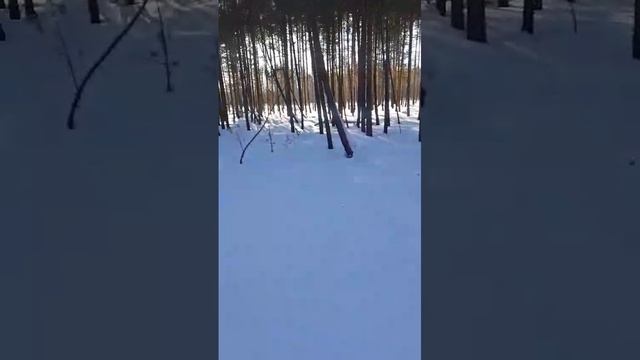 НУ ТЕПЕРЬ ВСЕ ЗАЙЦЫ НАШИ!