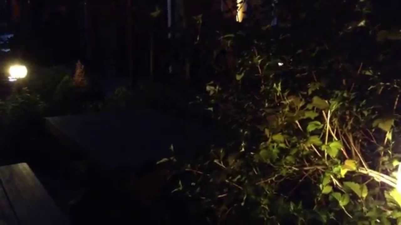 Свадьба в " Таганае"