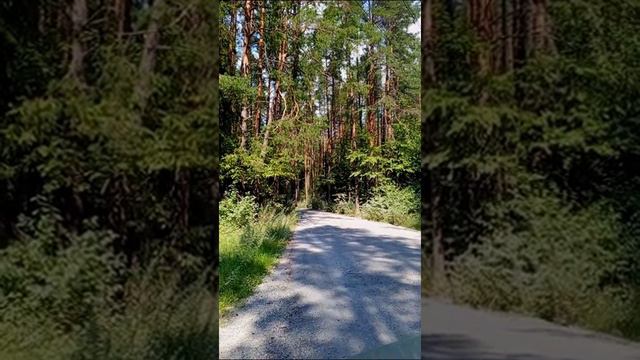 Harley-Davidson 35/10