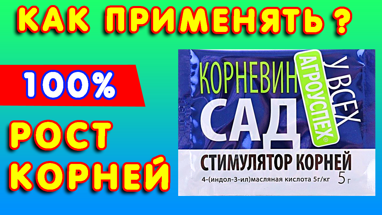 КОРНЕВИН: как правильно ПРИМЕНЯТЬ стимулятор РОСТА КОРНЕЙ для роз и черенков