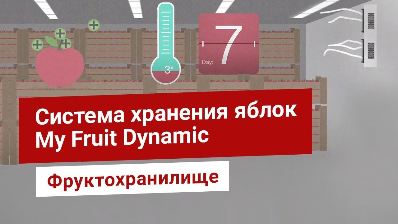 Оборудование с РГС для фруктохранилищ My Fruit Dynamic – промышленное хранение яблок на складе