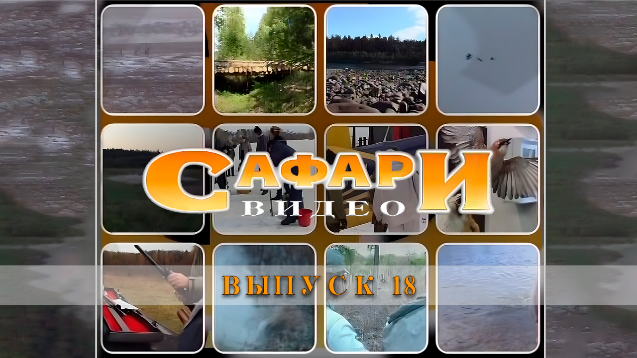 Видеоприложение №18 к журналу "Сафари"