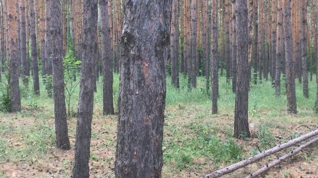 Показываю наш отдых на озере Кандры-Куль