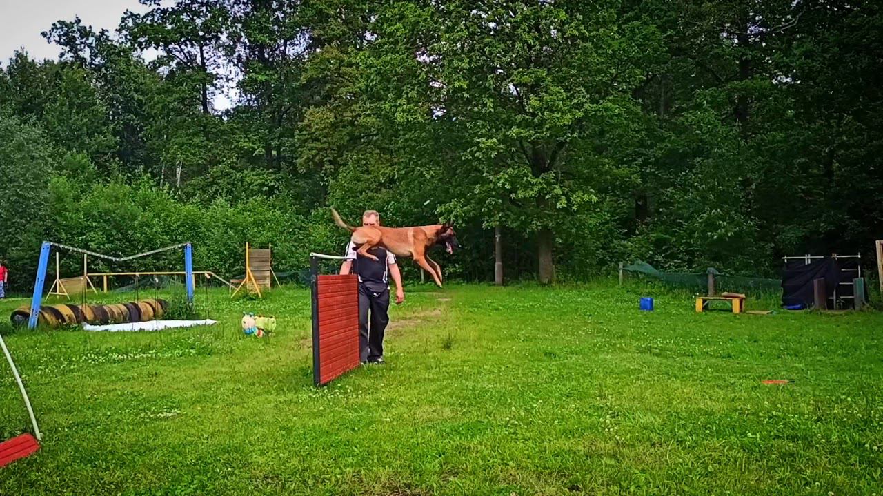 Прыжок без опоры