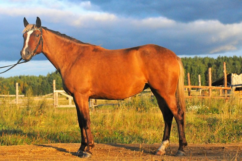 Тренировка на открытом плацу.