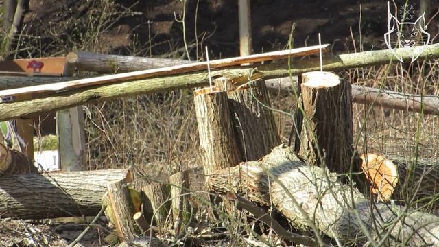 День СУШИ БАР часть 1.mp4