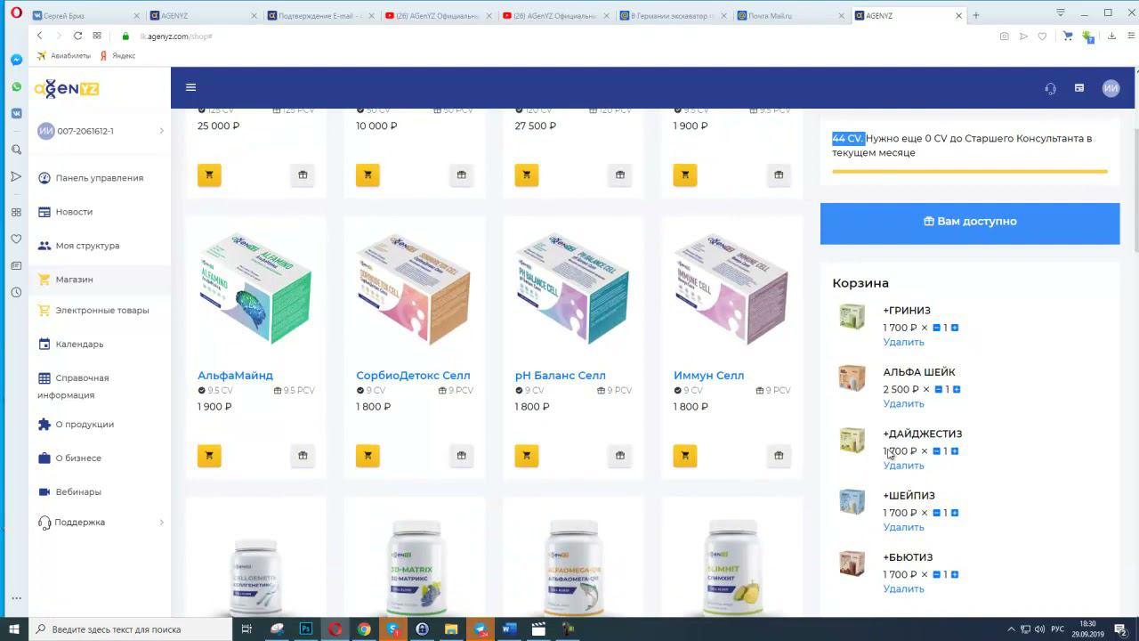 Создание заказа продукции в интернет-магазине Адженис