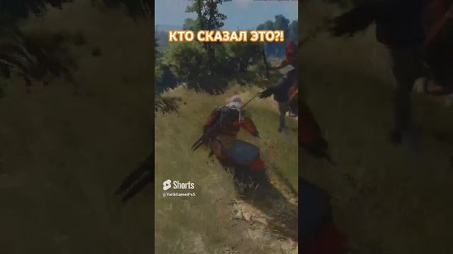 Кто сказал это_#thewitcher3.mp4
