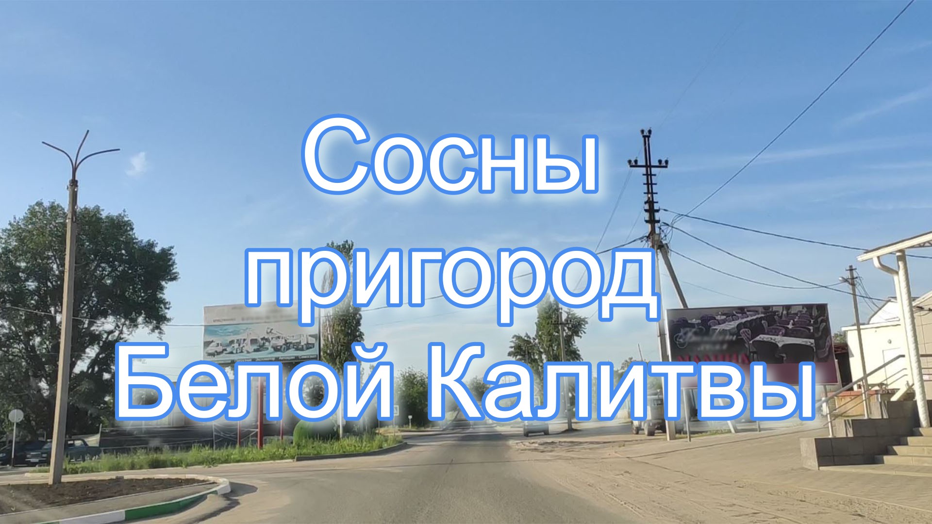 Сосны пригород Белой Калитвы.mp4