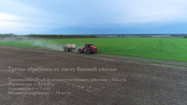 Опыт. Сравнение технологий (часть 3) Результаты