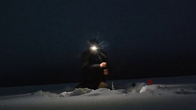 Удачная утренняя проверка жерлиц