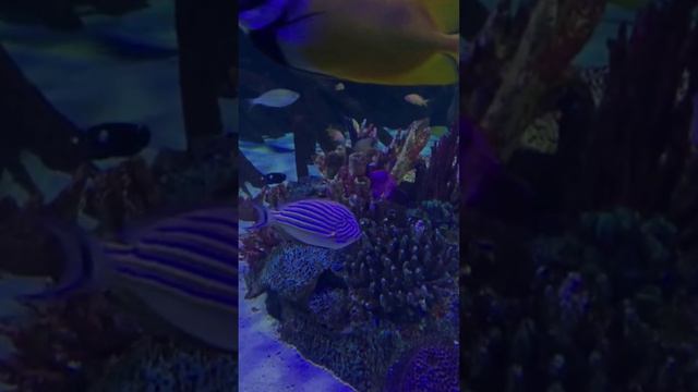 Что главное между мужчиной и женщиной