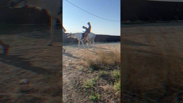 Я на коне Часть3