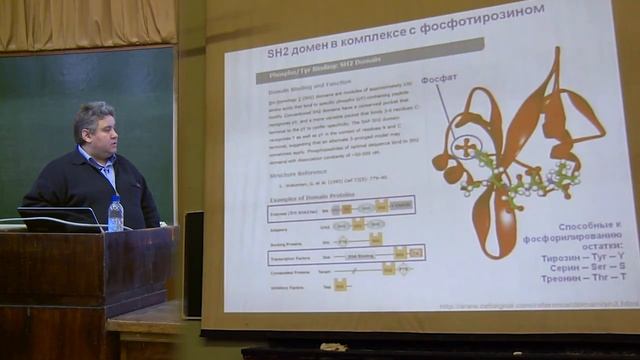 4. Купраш Д. В. - Иммунология - Лимфатическая система.mp4