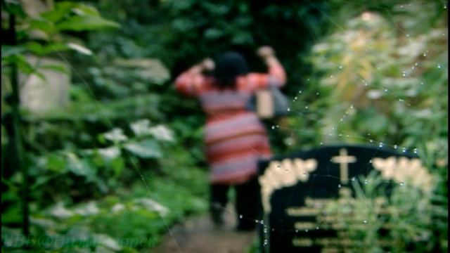 Discovery «10 способов заглянуть в будущее» (Документальный, 2005)