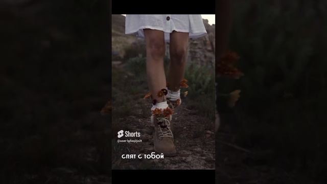 Не желаю иного_Йена Чиж#shorts #стихи #природа #любовь #любовные письма