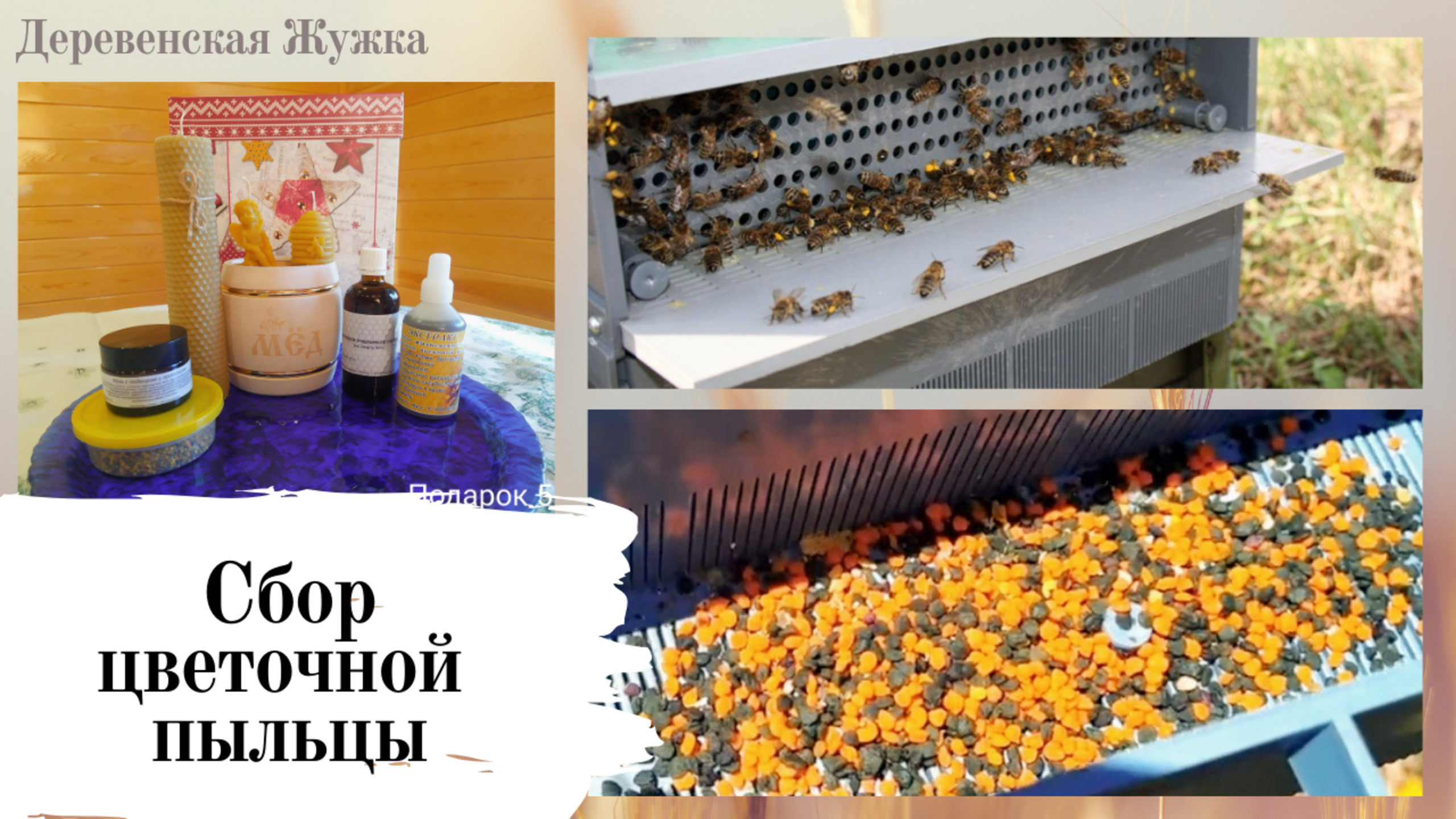 Пчелы. Цветочная пыльца. Сбор. Пыльцеуловитель.