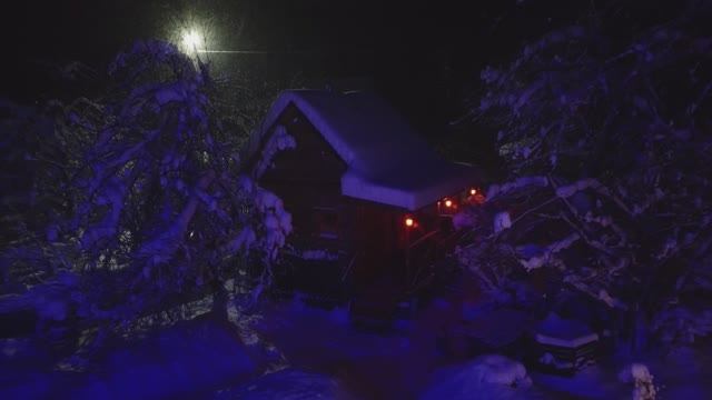 Как два RGB прожектора превращают зимнее уныние дачи  в Новогоднюю сказку #недолгодумая. Пример.