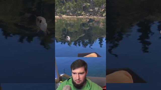 ?САМАЯ БОЛЬШАЯ ФОРЕЛЬ НА СТРИМЕ? #русскаярыбалка4 #рр4 #russianfishing4