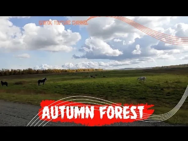 Выбрались в лес.mp4