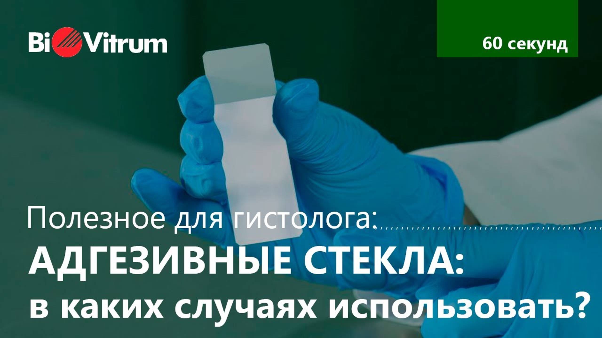 Адгезивные стекла: в каких случаях использовать?