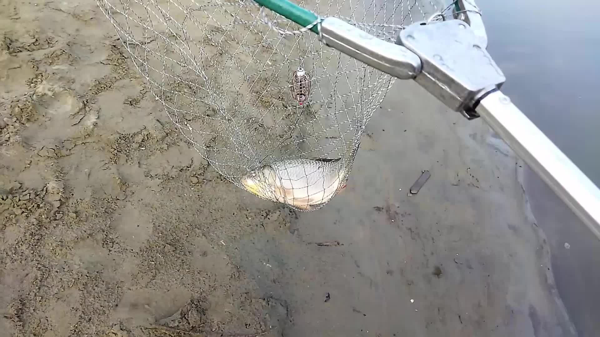 Карась на донку!!! Рыбалка 2022!!!