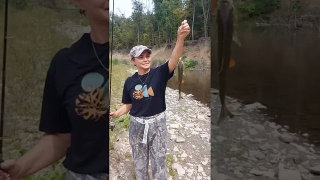 Щука на воблер. Крупный голавль. Река Шебш.