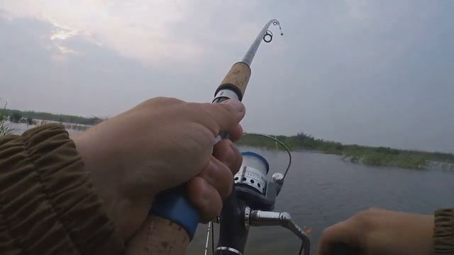 Ловля плотвы (чебака) круглый год. Лучшие моменты с моих рыбалок.