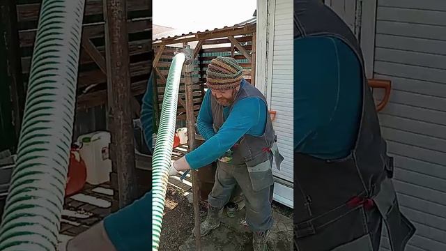 Весенняя абиссинка, в итоге разведка