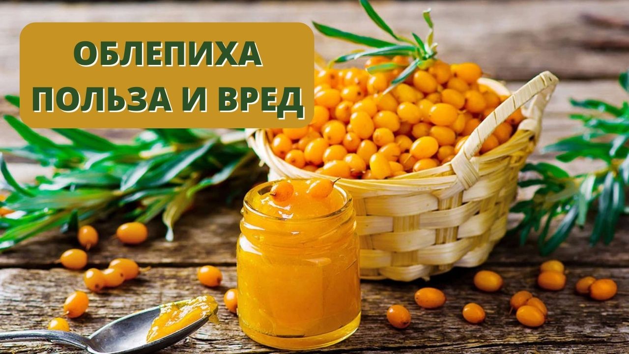 НАРОДНЫЙ РЕЦЕПТ. Облепиха польза и вред.mp4