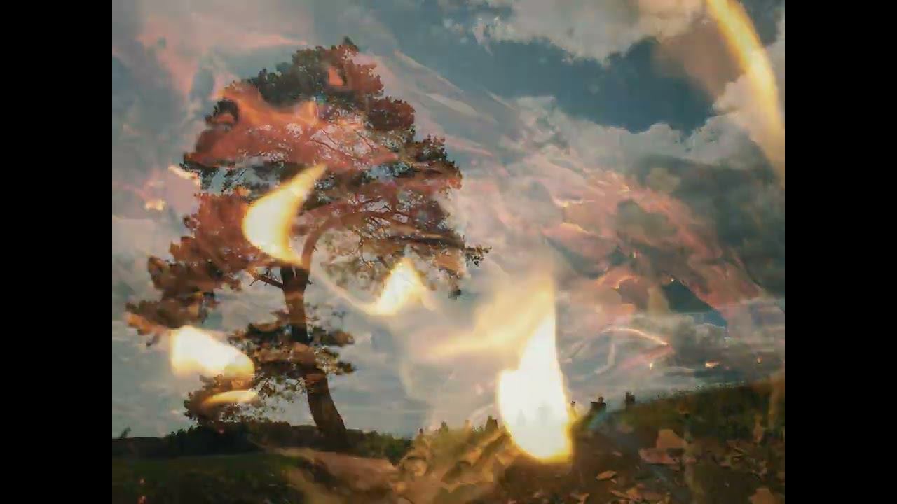 Трейлер "Евсеев: Признание ценою в жизнь"