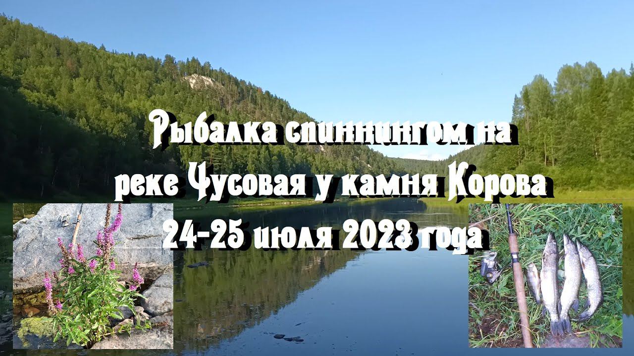 Рыбалка спиннингом на реке Чусовая у камня Корова 24-25 июля 2023 года