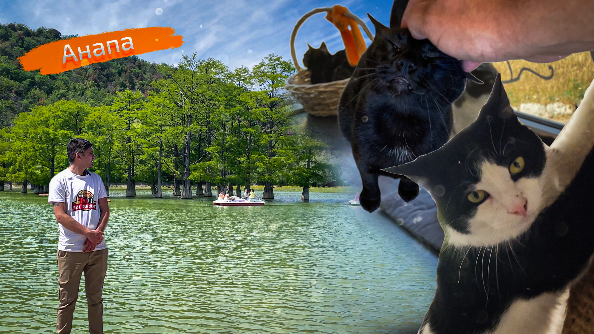 АНАПА. День второй. 🔥😻ДЕЛА КОШАЧЬИ😻🔥. СУККО. Кипарисовое озеро.
