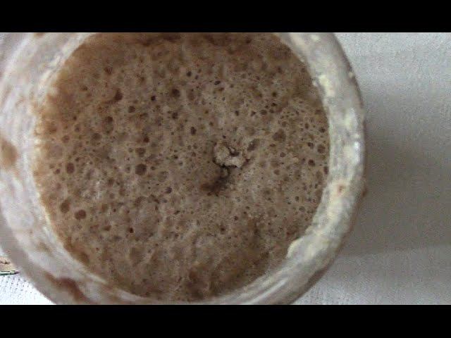 Закваска для Бездрожжевого Хлеба - Рецепт