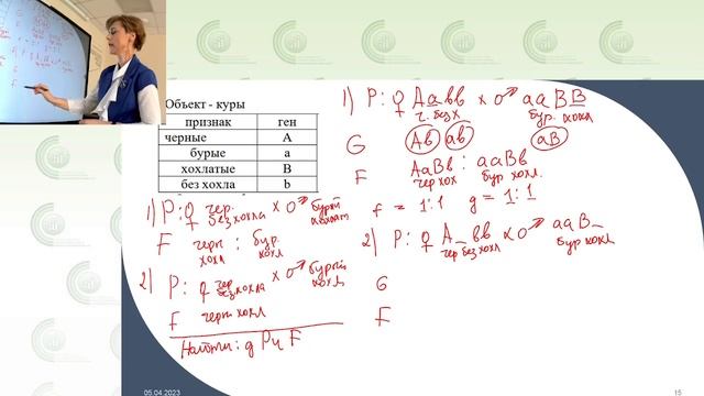 Открытая студия. Биология. Задание 29