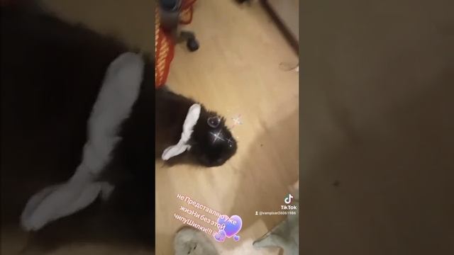 Моя МаленькАя Жизнь!!!)))